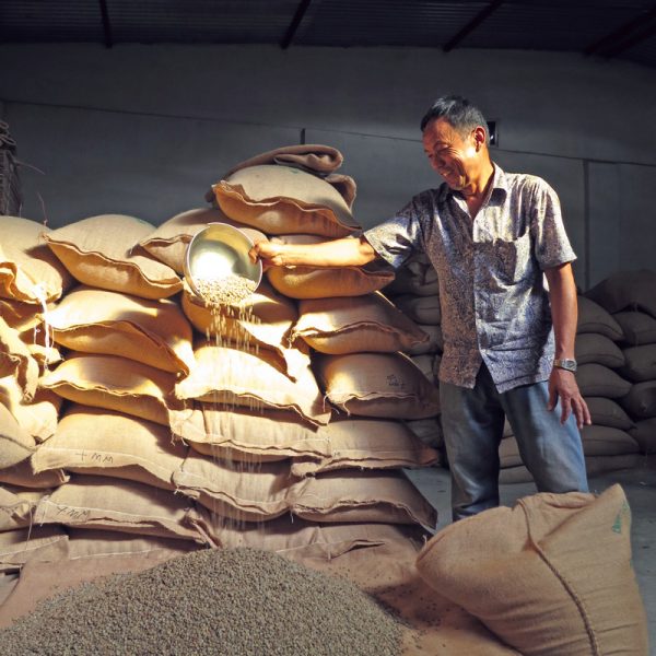 Wholesale Partners | Nepal Coffee company