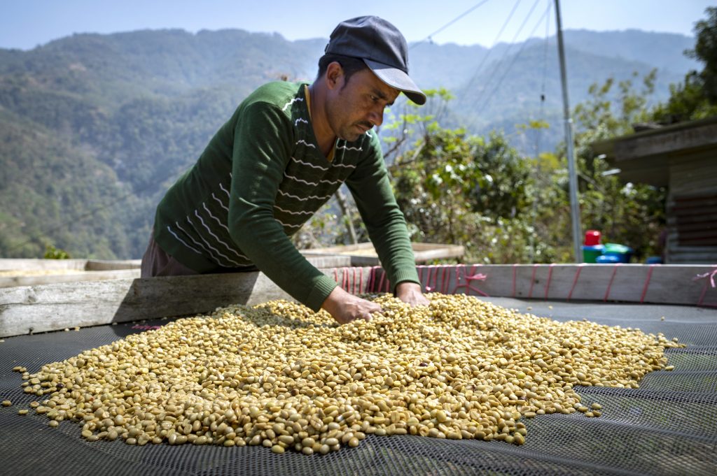 Sustainable, organic coffee farming | Nepal Coffee company